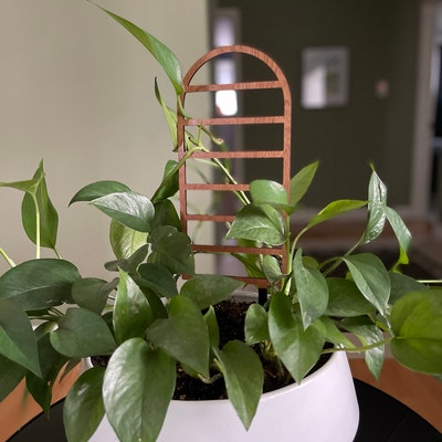 Ladder Arch Indoor Plant Trellis 3 Sizes for 2-6 Pots Mini & Small Wood ...