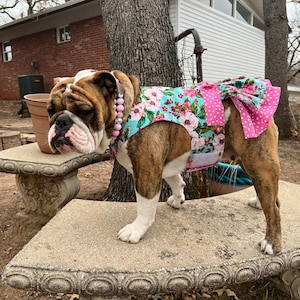 University of Alabama Dog Dress - Etsy UK