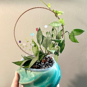 Twisted Copper 8 Inch Hoop Trellis Floral Moon Trellis Flower Hoya ...