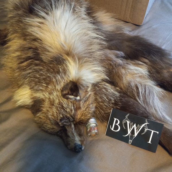 Vintage Blue Fox Pelt Stole With Chin Clip 1940s 1950s 1960s Real ...