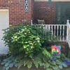 House Number Sign With Border: Vertical Outdoor Plaque - Etsy