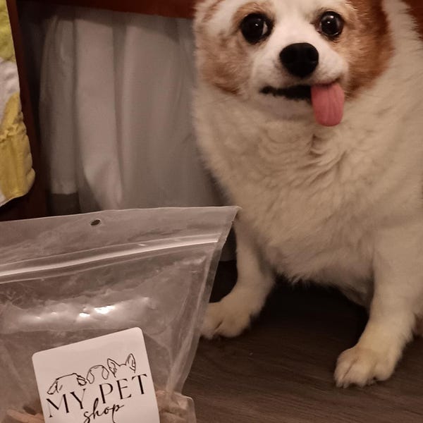 Stuffed Beef Gullet Sticks Dog Chews! Try Them! - Etsy