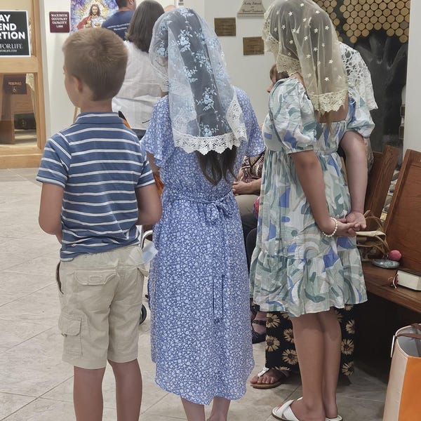 Evintage Veils Child's Traditional Veil ST Therese Little Flower Marian ...