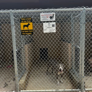 Personalized Construction Sign - Etsy