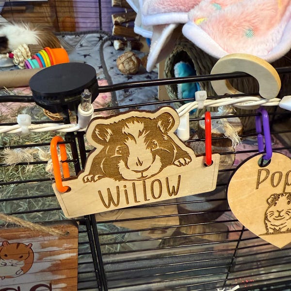 Guinea Pig Cage Tag, Personalized, Custom, Engraved Wood, Pet Guinea ...
