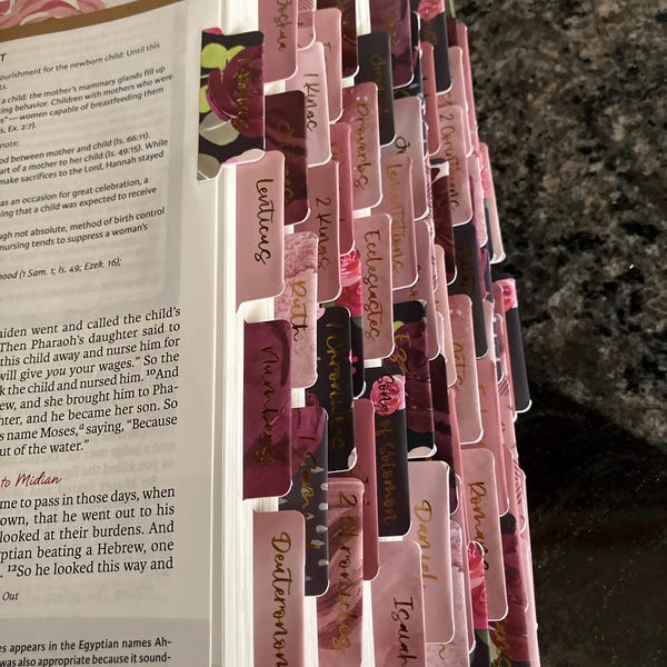 Bible Tabs | Laminated Bible Tabs With Adhesive | Books of the Bible ...