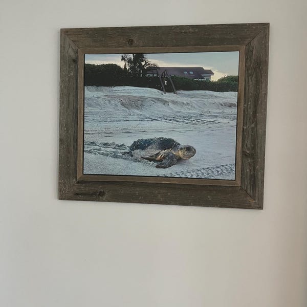 4x6 Rustic Reclaimed Barn Wood Triple Opening Frame - Etsy