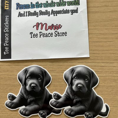 Daisy Duck Donald Duck Sticker, Family Vacation Sticker, Whimsical ...