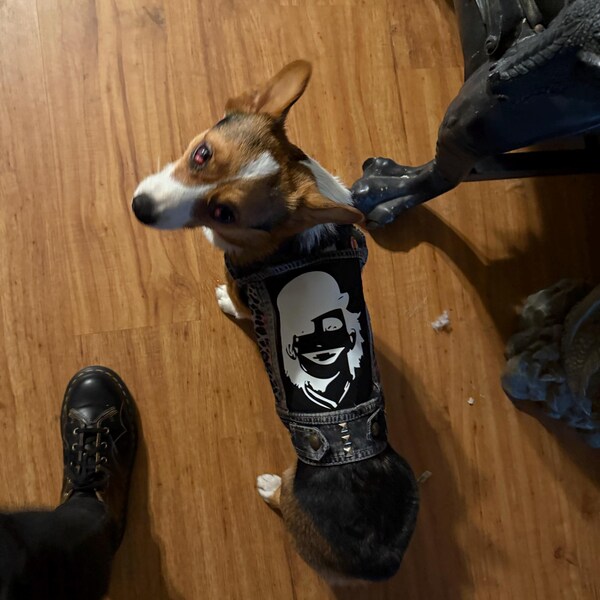 Large Punk Rock Dog Jacket/battle Vest Featuring Cute as Hell Baphomet ...