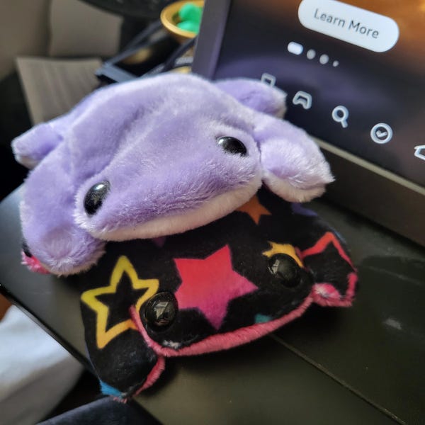 Choose Your Color Combo Frog Plush// Pocket Frog Plushie// Bean Bag ...