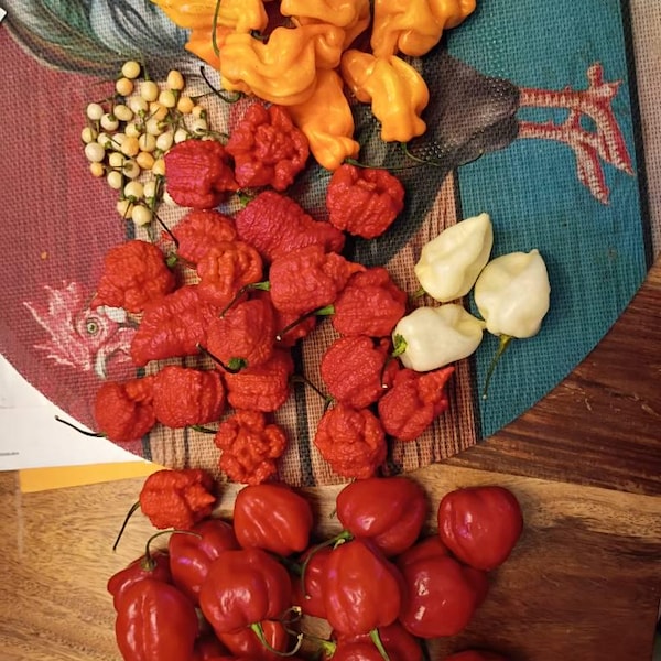 Mermaid Scales Soap Impression Mat: Custom Soap Making Supplies - Etsy