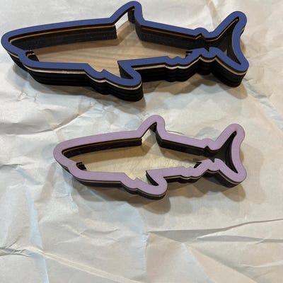 Shark Teeth Shadow Box for Shark Teeth, Small Shells, Fossils, Agates ...