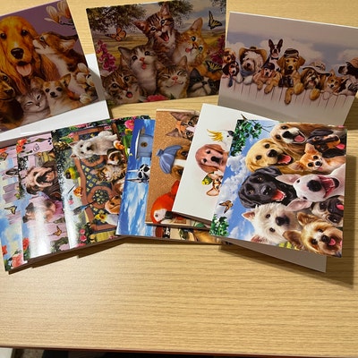 20 Assorted Hilarious Blank Note Cards Bulk Bulk Pack 4 X 5.12 Inch ...