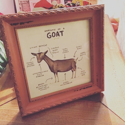 Anatomy of A Goat Card - Etsy