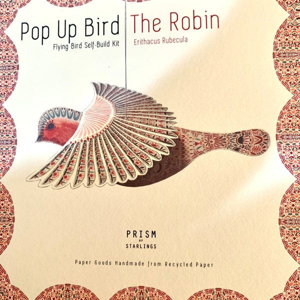 Pop up Bird Kit - the Robin - Etsy