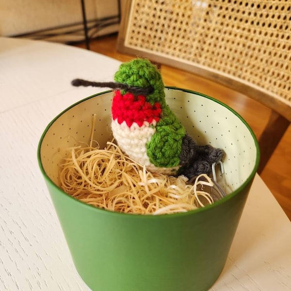 Ruby Throated Hummingbird Written Crochet Pattern | Realistic Bird ...