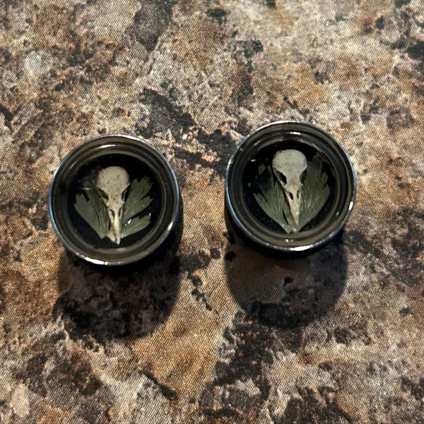 Dinosaur Plugs for PAIR T-rex Skulls Size 10mm and Above - Etsy
