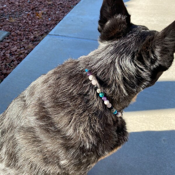 Custom Dog Collar, Crystal Cat Collar, Crescent Moon, Reiki Jewelry ...