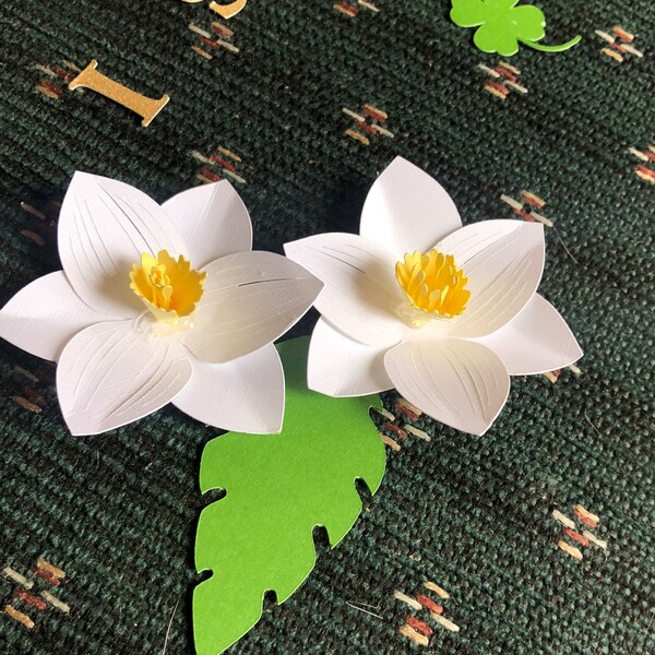 Fern Leaf & Fiddlehead Templates for Cricut, Svg, Pdf, Esp, Dxf ...