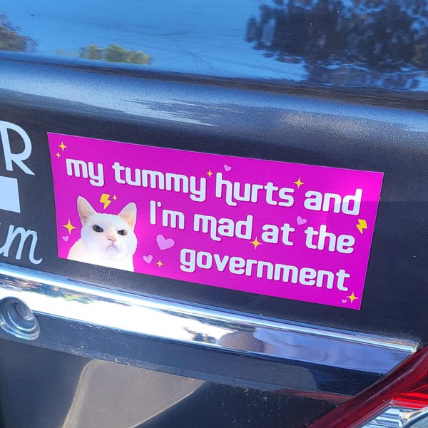 My Tummy Hurts and I’m Mad at the Government 7" Bumper Sticker or ...