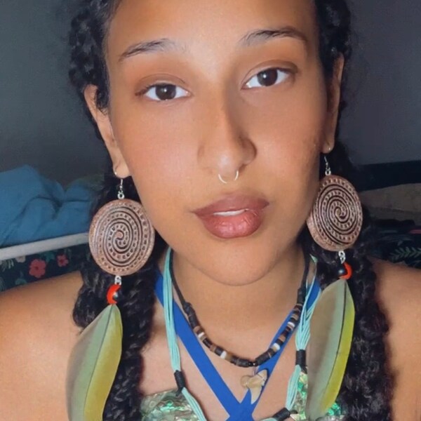 Guamo & Tree Frog in Conch Shell Stickers - Etsy