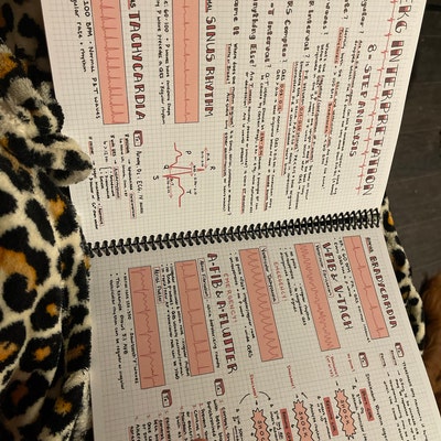 PRINTED DIGITAL Complete Nursing Study Guide Bundle Hard Copy & PDF ...