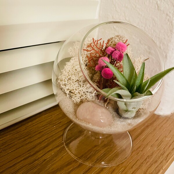 Air Plant Terrarium With Pink Rose Quartz / 4 Round Glass Pedestal ...