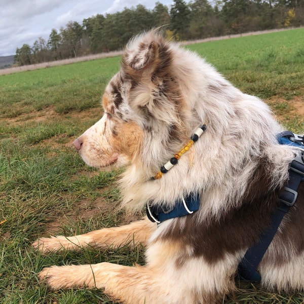 Collar Anti Tick and Fleas With Turquoise - Lithotherapy for Dogs - Etsy