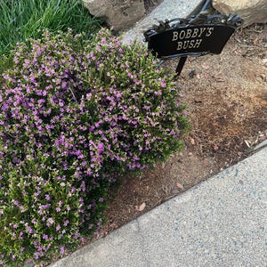 THE VINEYARD Stone Address Plaque With Engraved Numbers. Address Sign ...