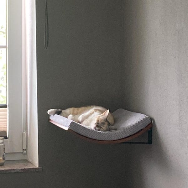Handmade Wall Mounted Curved Cat Perch by Cosyanddozy Modern Cat Wall ...