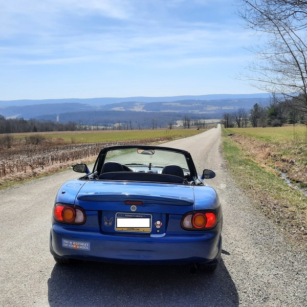 Stay in Vegetables Eat Your School – bumper Sticker Car Decal 3x10 - Etsy
