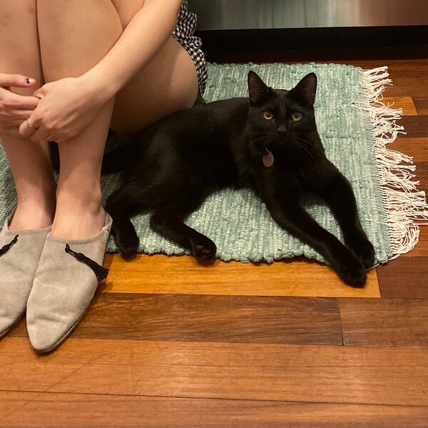 Western Bluebird, a Rag Rug, Handwoven, Hand Dyed and Made Especially ...