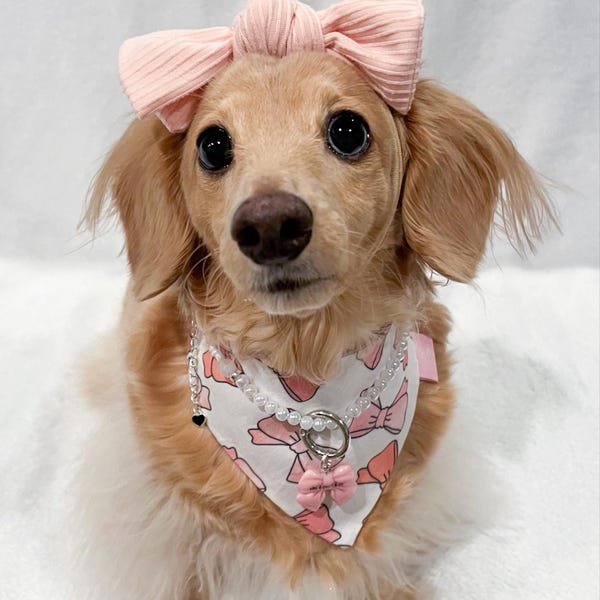 Orange Hearts, Flower Curved Neck Snap on Dog Bandana, Winter Pet ...