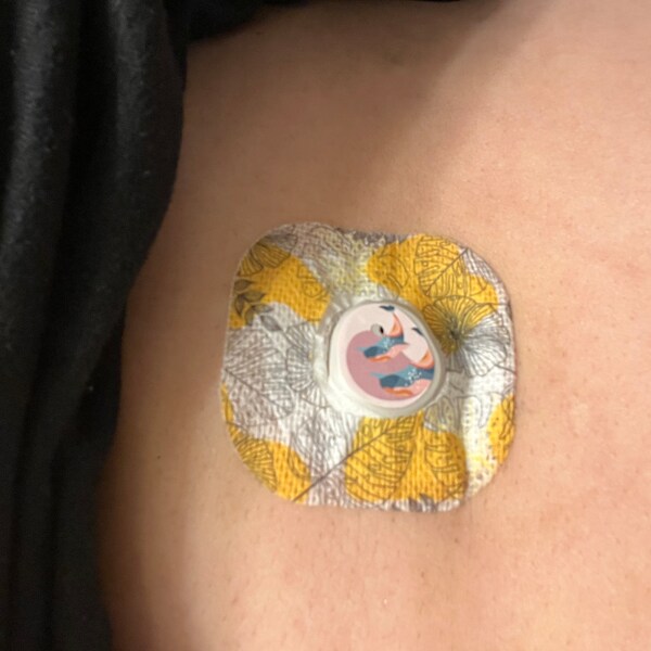 Dexcom G7/dexcom ONE Sensor Sticker staycation Collection 4pk - Etsy