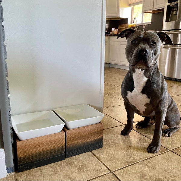Modern Square Dog Bowl Set | Elevated Pet Feeder | Porcelain Pet Bowls ...