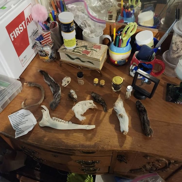 Freeze Dried Yak Feet (for One) - Taxidermy Yak, Deer Antlers ...