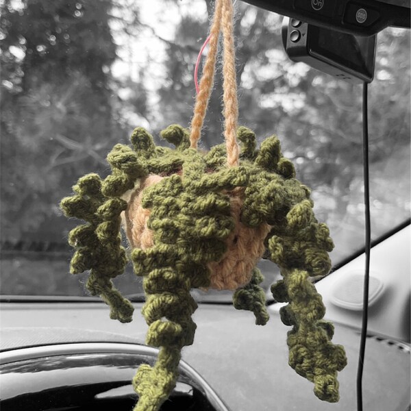 Car Fern Crochet PATTERN by Pamelambie Car Plant - Etsy