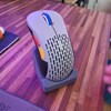Mouse Display Stand & Holder Compatible With Most Mice for Pulsar ...