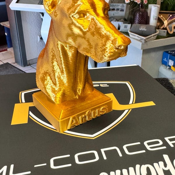 Schedule 1 Benji Head Stash Box - Etsy