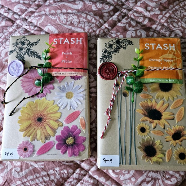 Blind Date With a Book, Surprise Book Box, Exciting Book Bundles ...