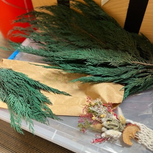 The Summer Harvest Collection: Dried Bundle Herbal Bundle - Etsy