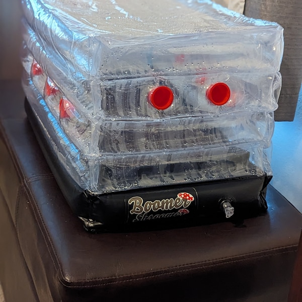 Boomer Shroomer Inflatable Monotub Kit - Etsy