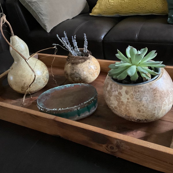 Ladle Gourd Sconce With Pine Needles - Etsy