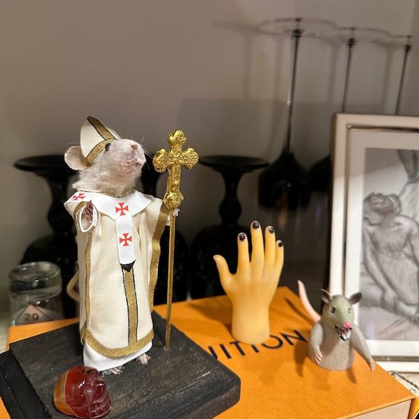 Taxidermy Mouse Pope Francis - Etsy UK