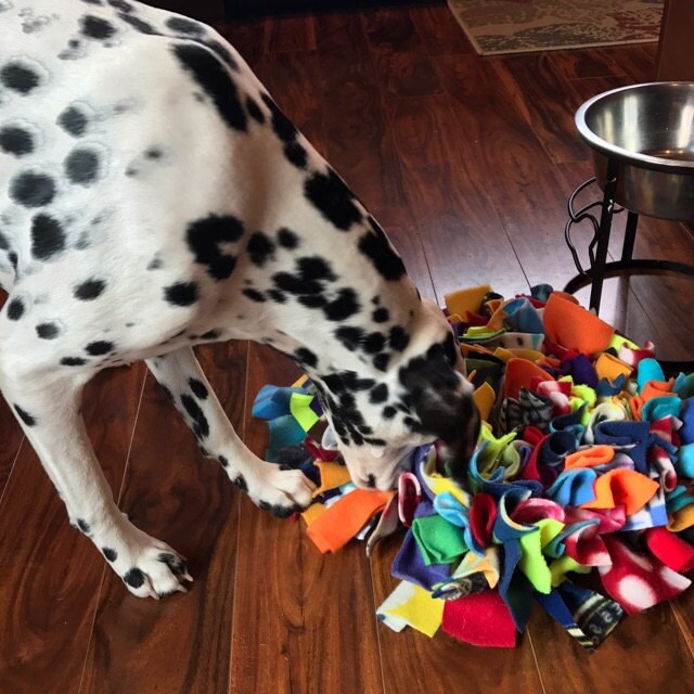 Betsy loved their purchase from petdogtrainer