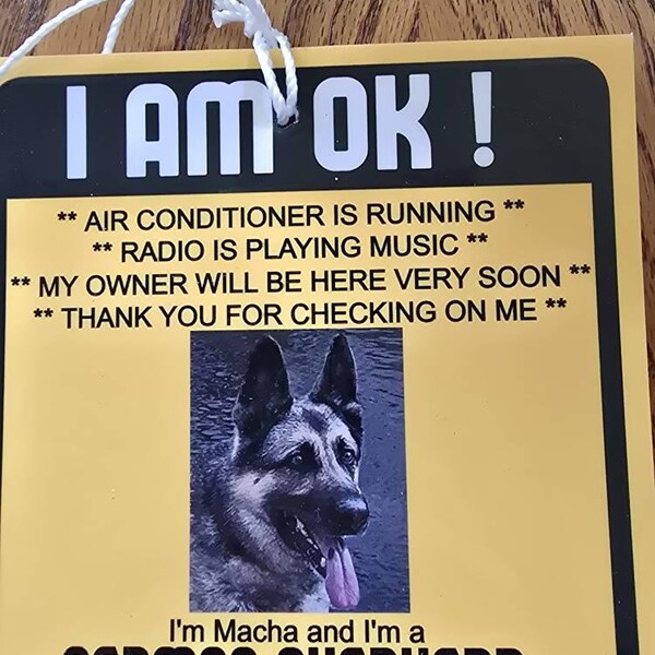 Off Road Desert Race: Trophy Truck Stickers | Truck Decals | off Road ...