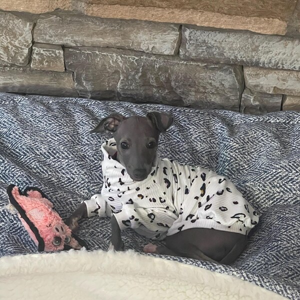 Italian Greyhound Rib Knit Pjs - Etsy