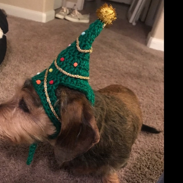 Dog hat SNOW MAN Humorous Choose color 2 to 20 lb pets | Etsy