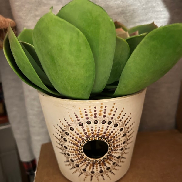 Spy Camera Enclosure Pot Custom Made - Etsy