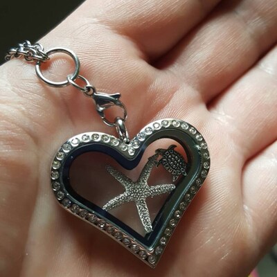 Pack of 30 Clear Plastic Screw Top Storage Tubes With Frosted Insert 3 ...